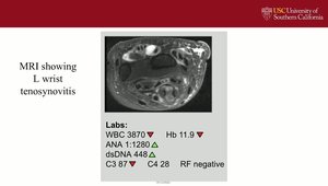 Stump the Chump 2025 | Vumedi