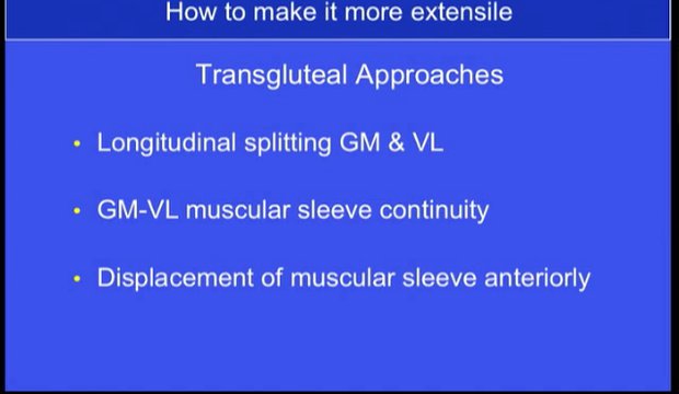 Anterolateral and Direct Lateral Approach for Total Hip Arthroplasty ...