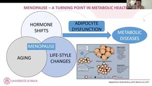 Pathophysiology of Menopause and Obesity | Vumedi