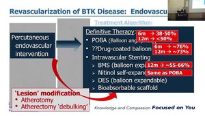 Bioabsorbable Scaffold in Practice: Technique and Clinical Outcomes ...