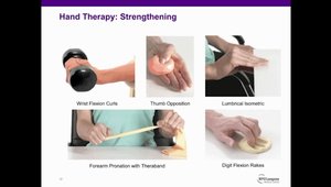 Compressive Neuropathy: Hand Therapy Considerations and Techniques for ...