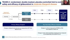 AAO 2025 Insights: Gildeuretinol in Moderate Stargardt Disease: Key ...
