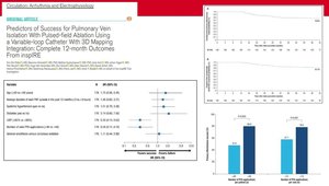 Pulmonary Vein Isolation Using PFA - Safety, Efficacy, and Predictors ...