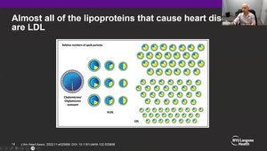 Lipoprotein Physiology in Heart Disease: LDL Cholesterol vs ApoB ...