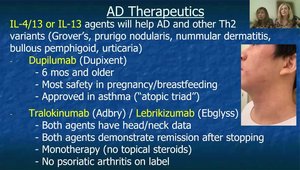 Dermatology Education Foundation (DEF) | Vumedi