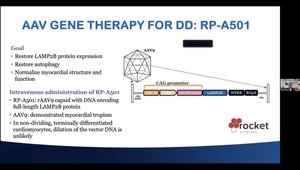 THT 2025 Insights: Overview of Gene Therapy - Vectors, Modes of ...