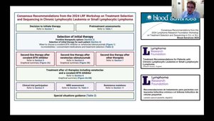 Consensus Recommendations From the 2024 Lymphoma Research Foundation ...