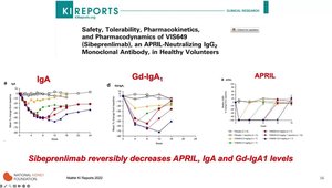 IgAN Treatment Pipeline: B-cell Pathway | VuMedi