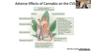 The Relationship Between Cannabis and Cardiovascular Disease | Vumedi