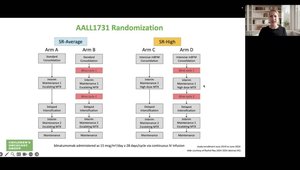 Blinatumomab Strategies in Children's Oncology Group Trials and New Standards of Care in B-ALL ...
