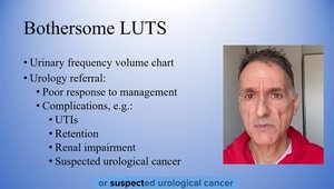 Management of Male Lower Urinary Tract Symptoms: A NICE Perspective ...