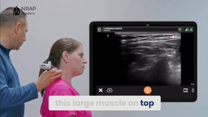 Neck Ultrasound: Brachial Plexus & Cervical Nerve Scan | Vumedi