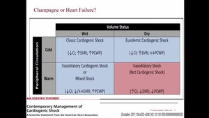 Classification of Cardiogenic Shock: Is There a Universal Definition ...