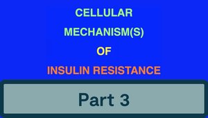 Insulin Resistance in T2D: Muscle Signaling Defects Link Hyperglycemia ...